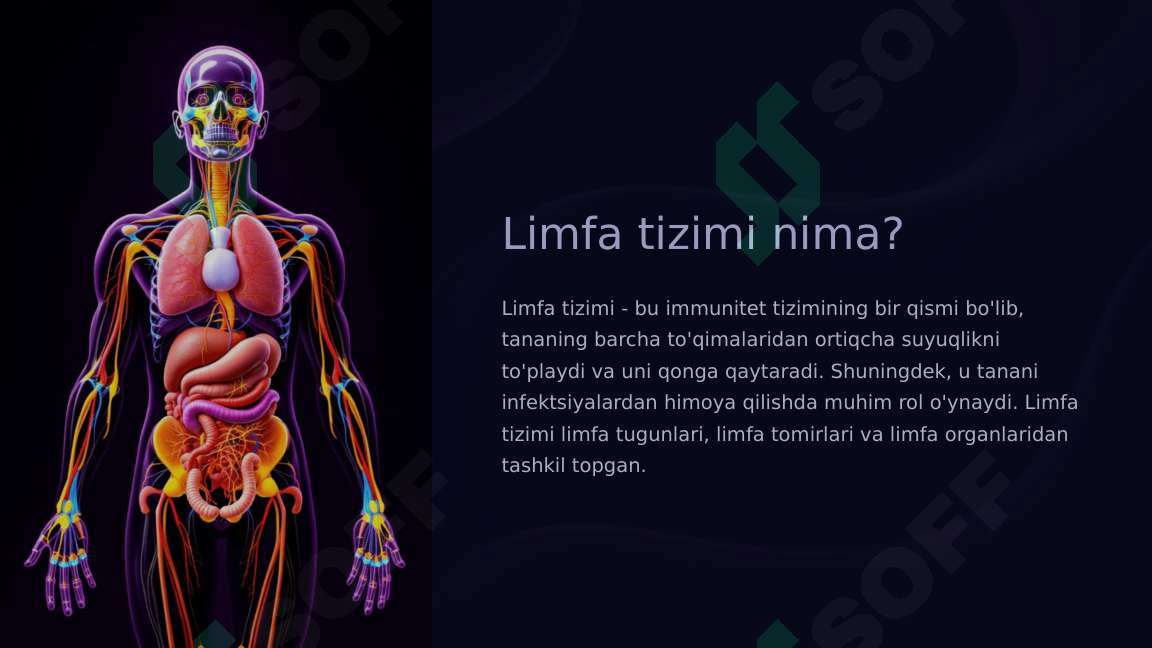 Limfa tizimi filogenezi, ontogenezi, anomaliyalari