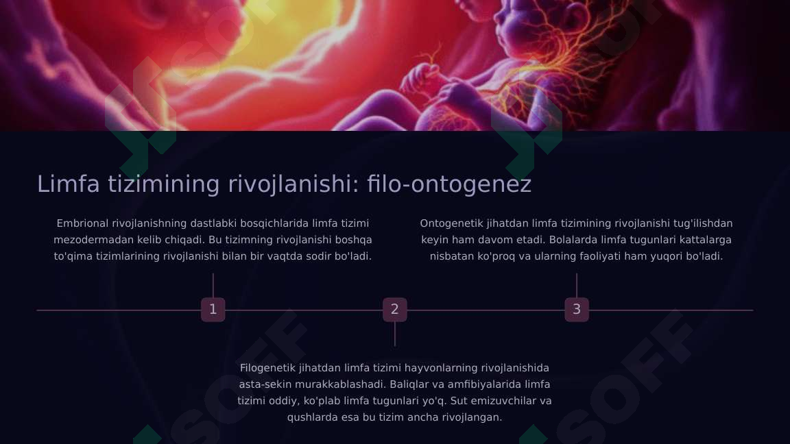 Limfa tizimi filogenezi, ontogenezi, anomaliyalari