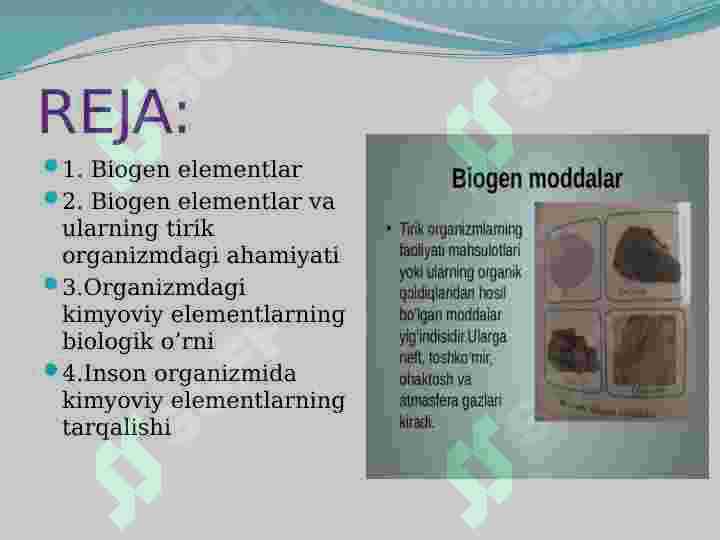 BIOGEN ELEMENTLAR