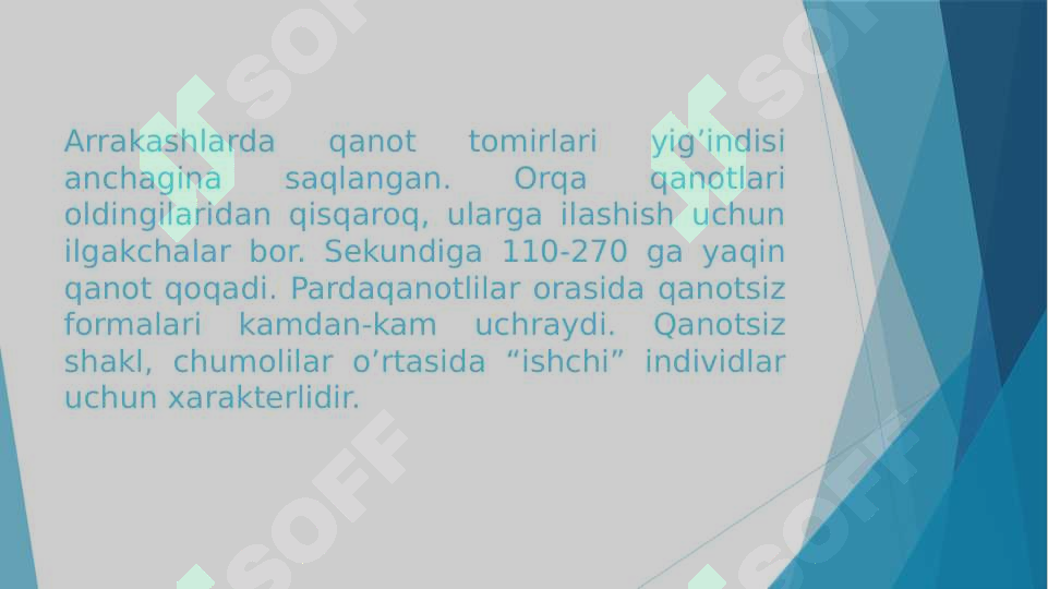 Sinantrop ko'rinishdagi xasharotlar, ularning epidimiologik ahamiyati