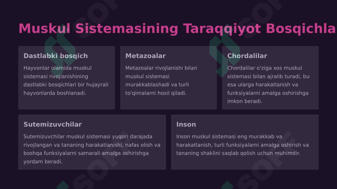 Muskul sistemasi filogenezi va ontogenezi, taraqqiyotiga tashqi ...