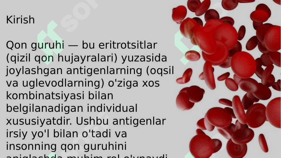 Qon Guruhlari