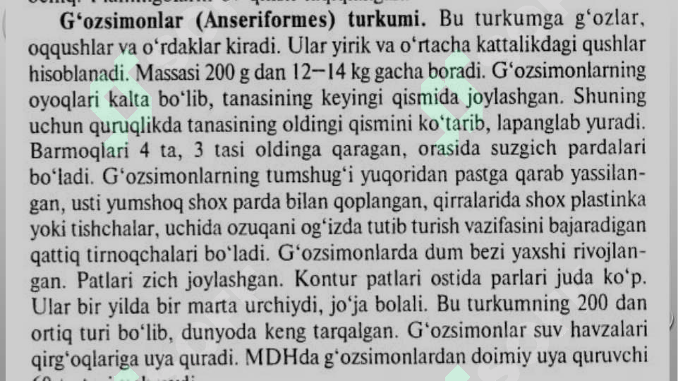 Oqqushlar haqida umumiy maʼlumotlar. pptx