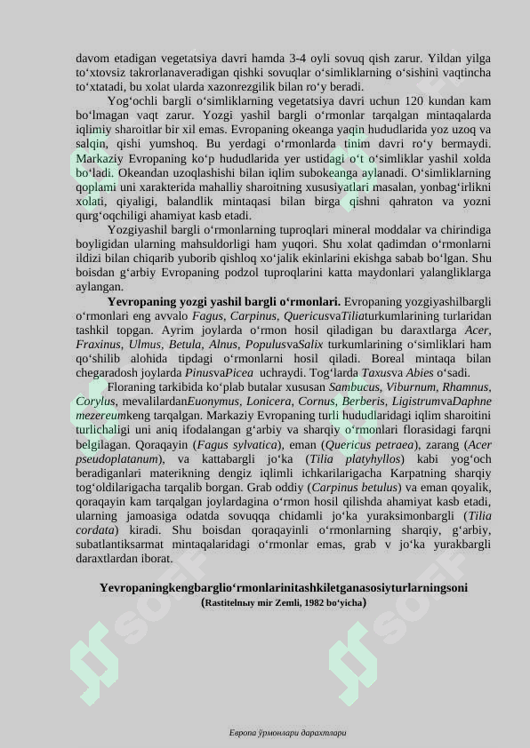 Yozgiyashil bargli o'rmonlar mintaqasi.