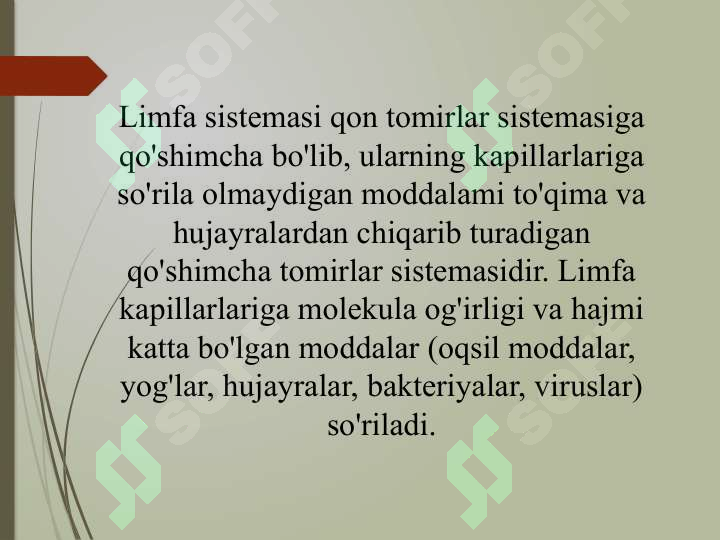 Limfa sistemasi