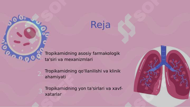 Tropikamid dori vositasining farmakalogiyasi