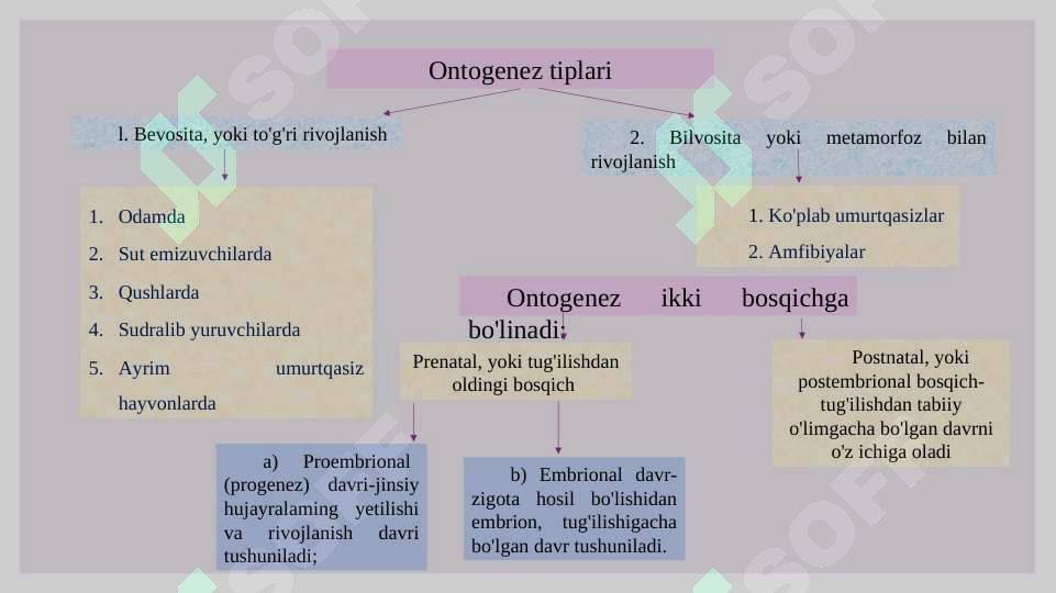 Ontogenez. Organizmlarning koʻpayishi