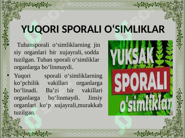 Yuksak sporali o‘simliklarning tuzilishi, ko‘payishi va ahamiyati