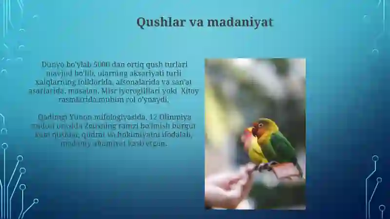 Qushlar va madaniyat